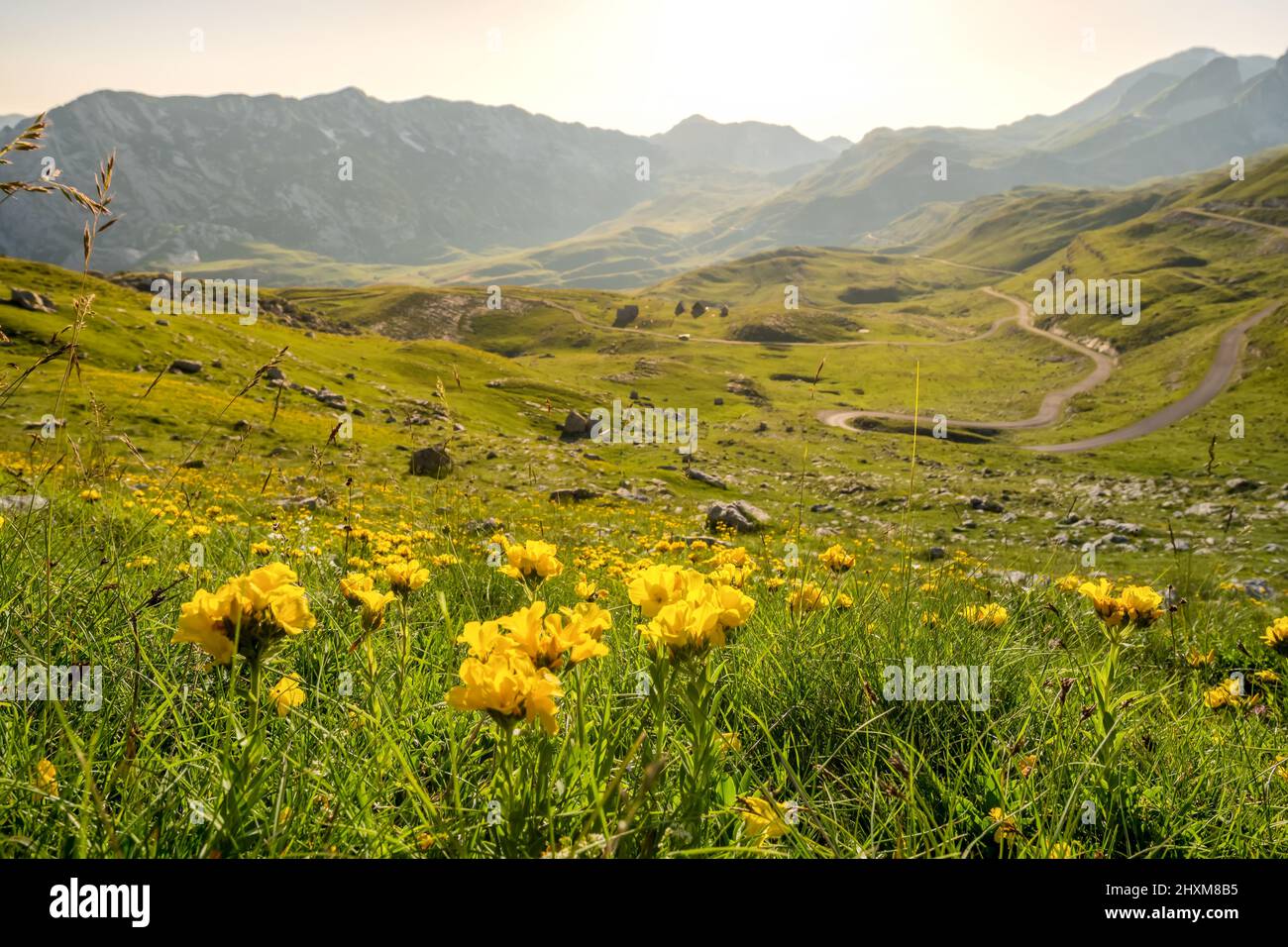 Sunset at Sedlo pass in Durmitor National park, village Zabljak ...
