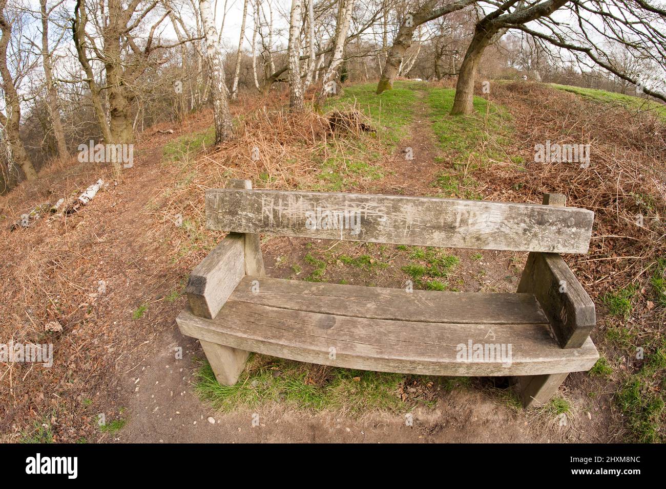 High Beech Epping Forest Essex, England Stock Photo - Alamy