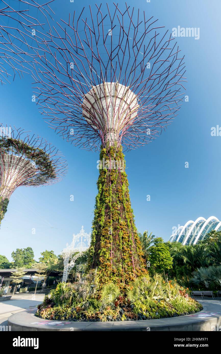 view of flower structure in Gardens By The Bay, Singapore Stock Photo ...