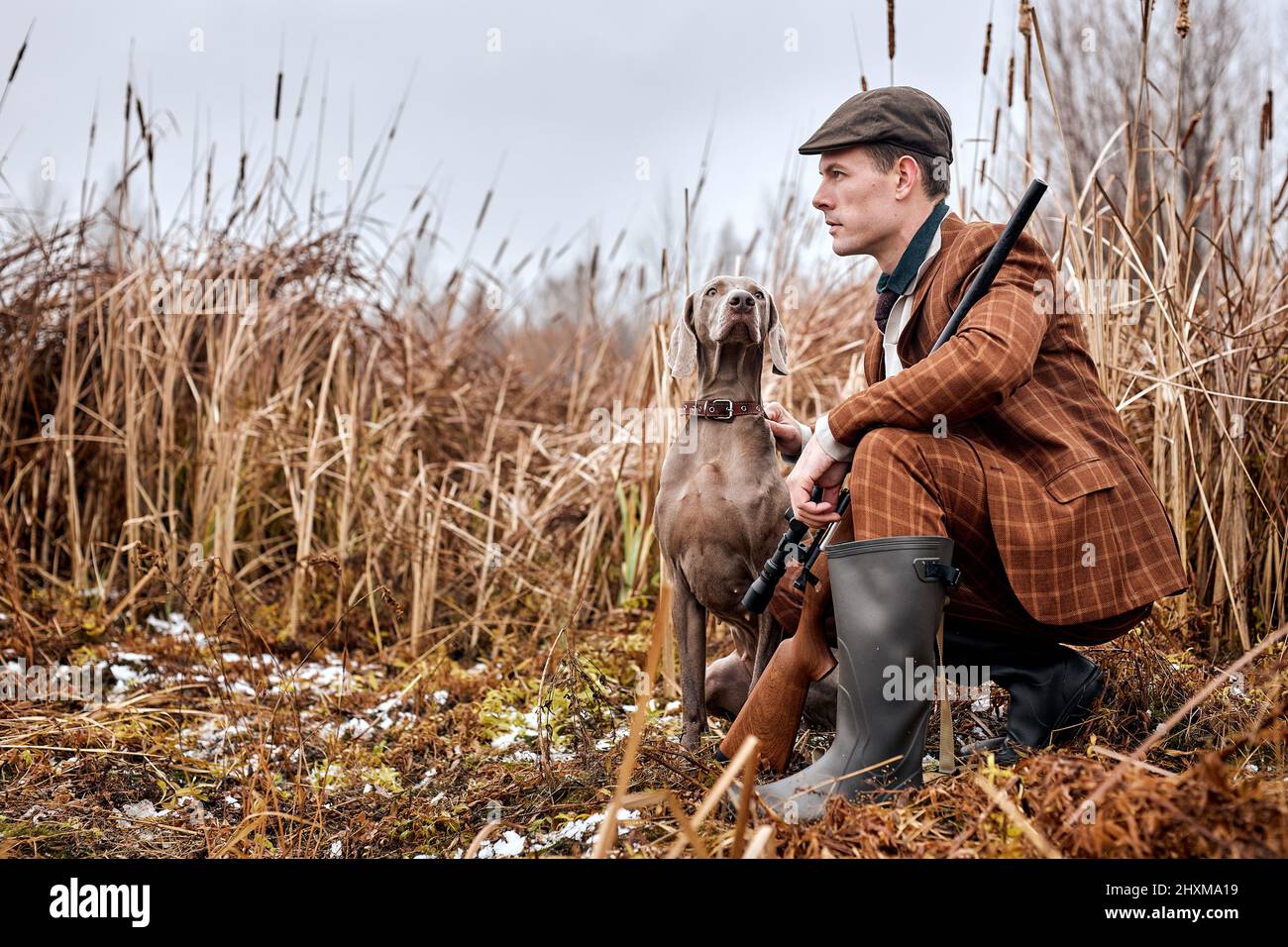 Hunting period, autumn season open. shikari with gun in suit in the ...