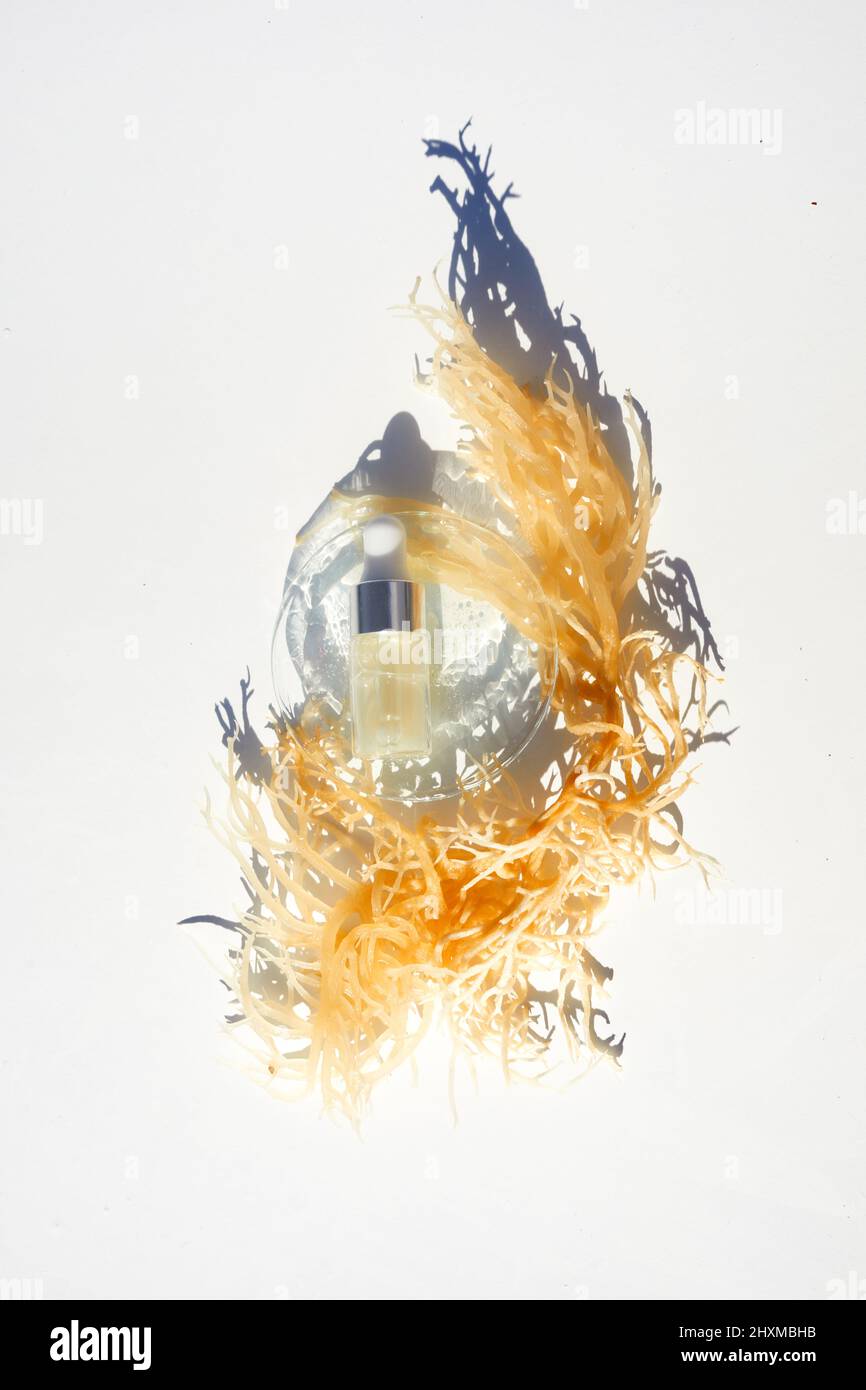 Sea moss product hi-res stock photography and images - Alamy