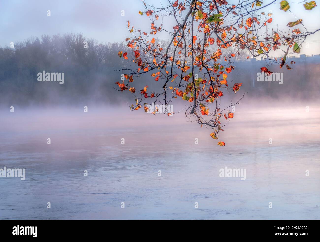 Morning Fog Dancing on the River Stock Photo - Alamy