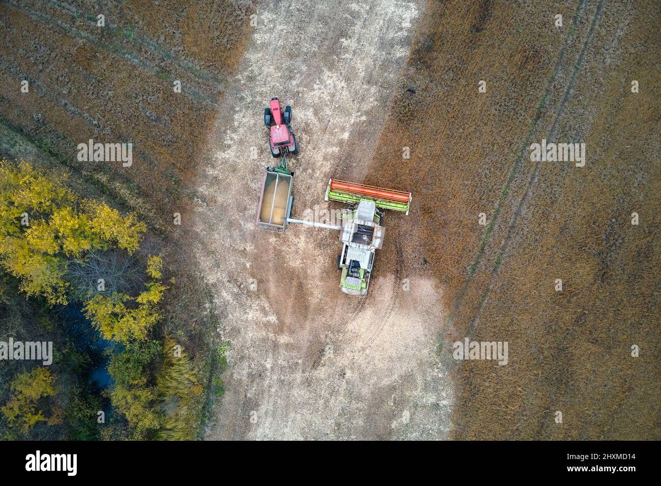 Aerial view of combine harvester unloading grain in cargo trailer ...