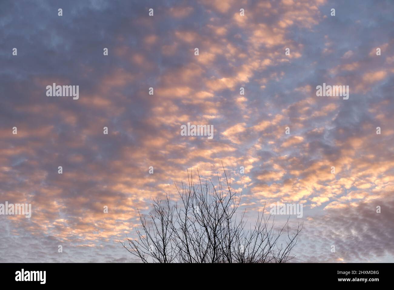 Bright colorful sunset sky with vivid smooth clouds illuminated with ...