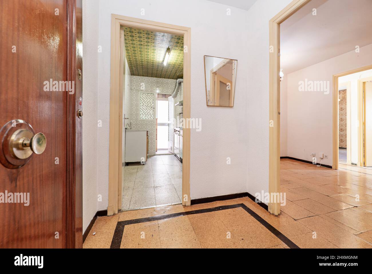 Entrance door to a residential house and hall with several doors Stock ...