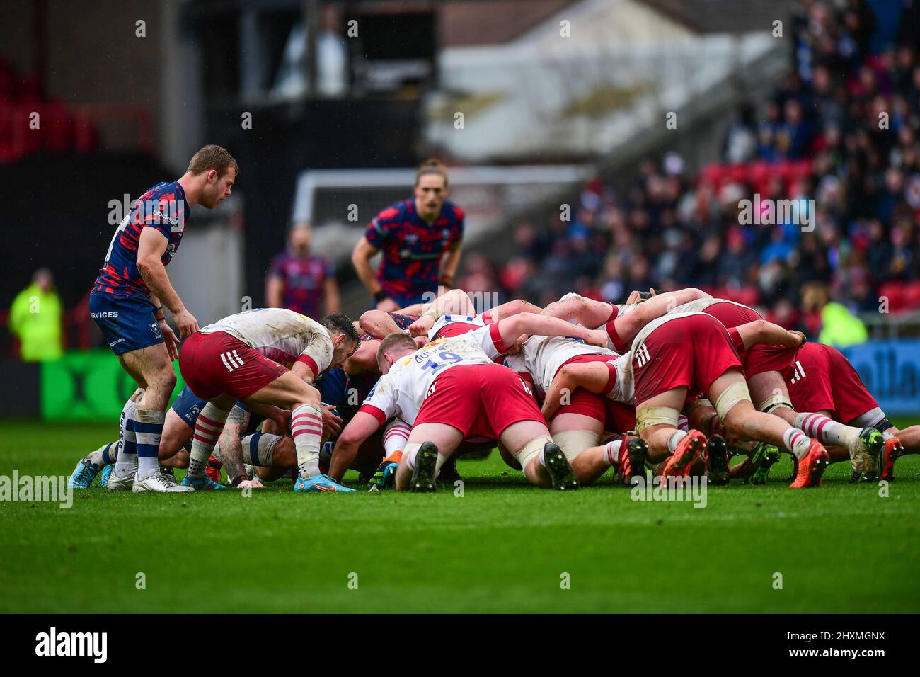 Harlequins rugby hi-res stock photography and images - Alamy