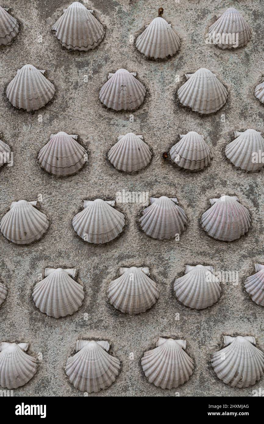 Scallop shell symbol of the Way of Saint James of Compostela Stock ...