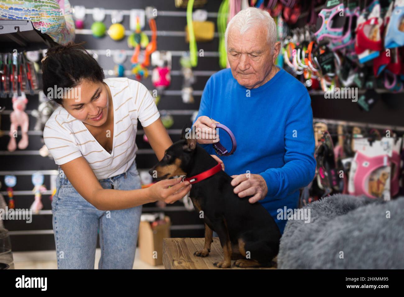 Pet shop employee hi-res stock photography and images - Alamy