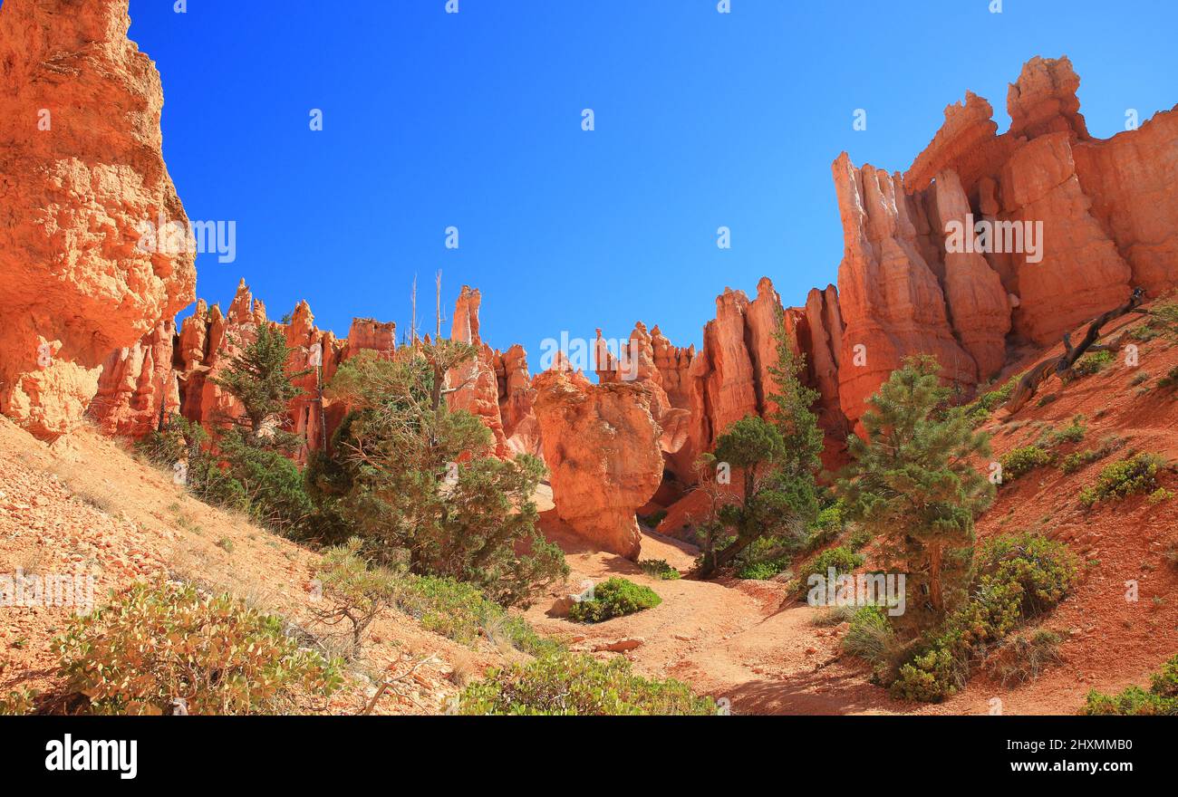 Bryce Canyon in Summer, Utah-USA Stock Photo - Alamy
