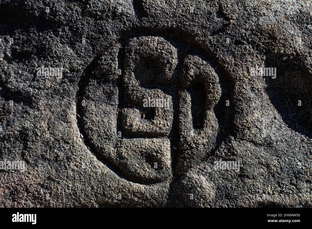 The poisonous mushroom cartoon hi-res stock photography and images - Alamy