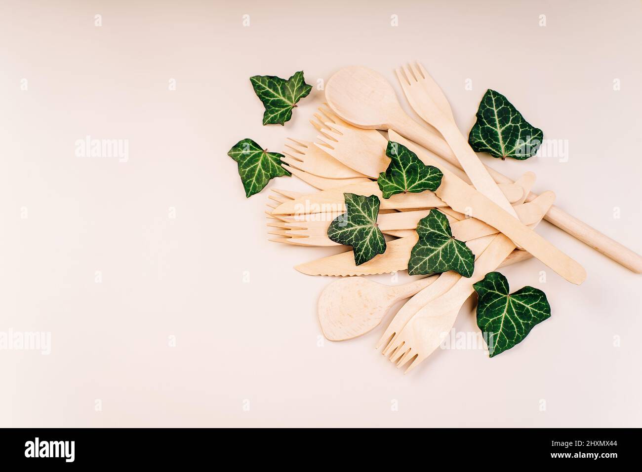 Eco friendly wooden cutlery.plastic free concept.Disposable wooden ...