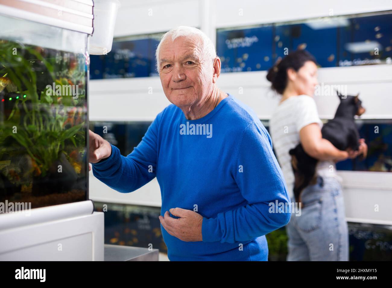 Choosing fish aquarium hi-res stock photography and images - Alamy