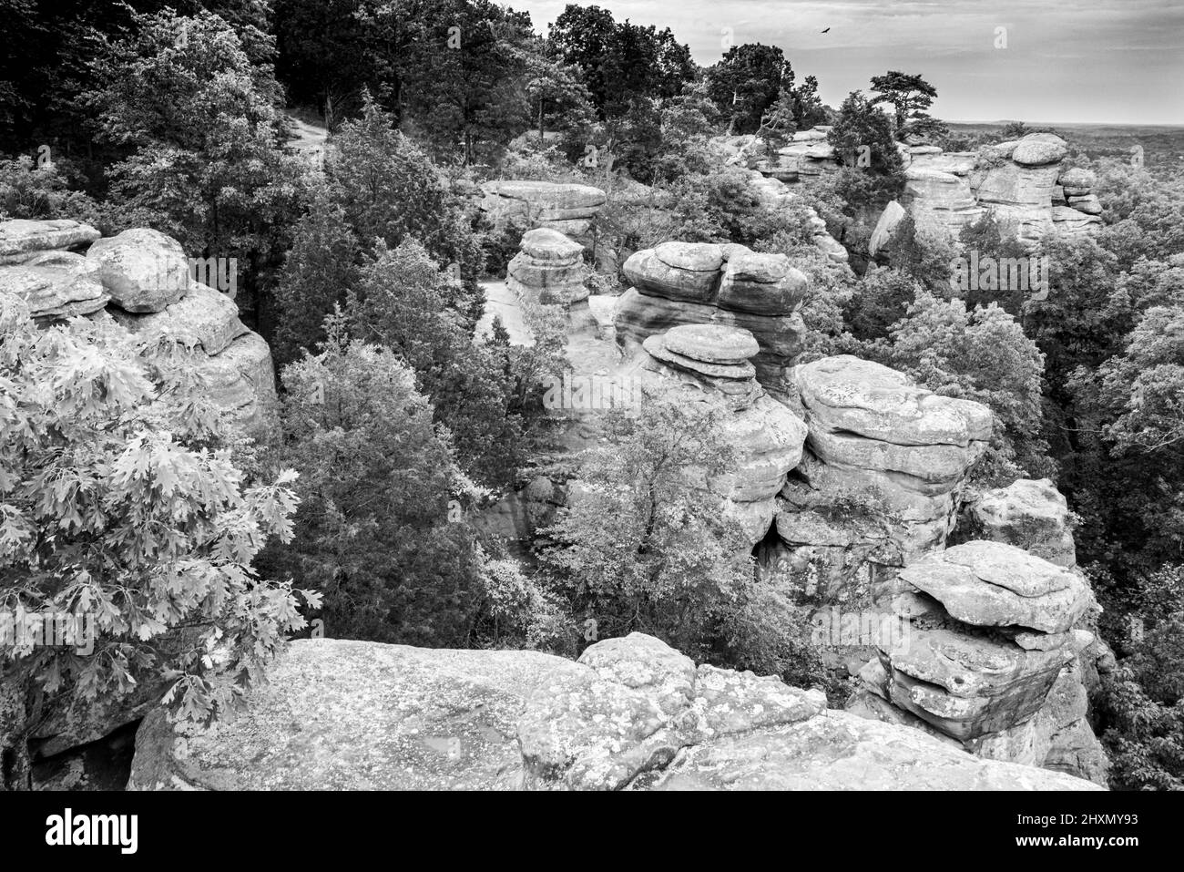 Rock formations at Garden of the Gods State Park, Southern Illinois ...