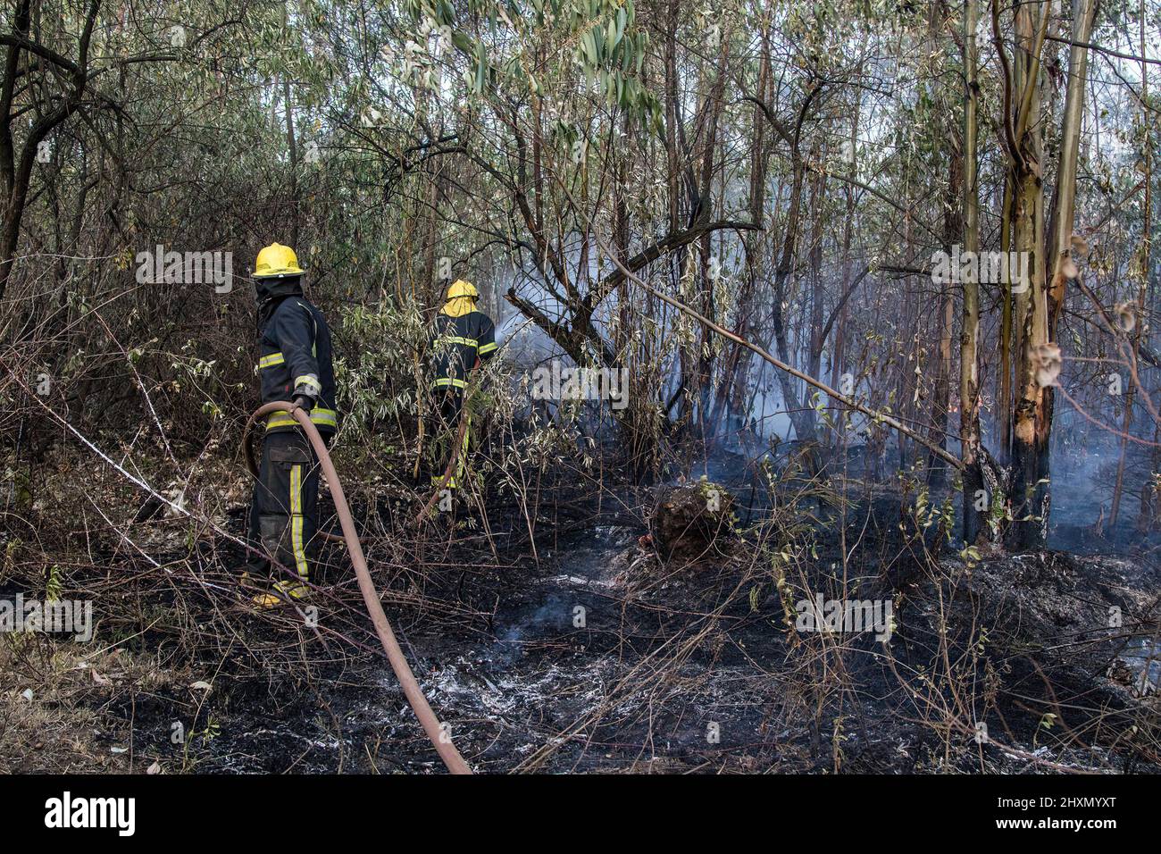 Nakuru, Kenya. 13th Mar, 2022. Fire fighters try to contain huge fires ...