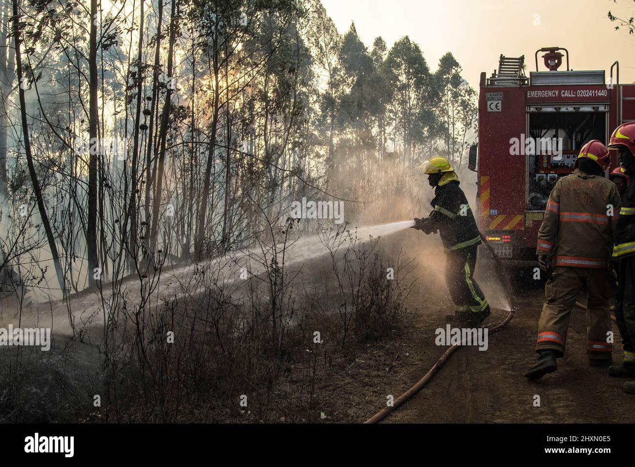 Nakuru, Rift Valley, Kenya. 13th Mar, 2022. Fire fighters attempt to ...