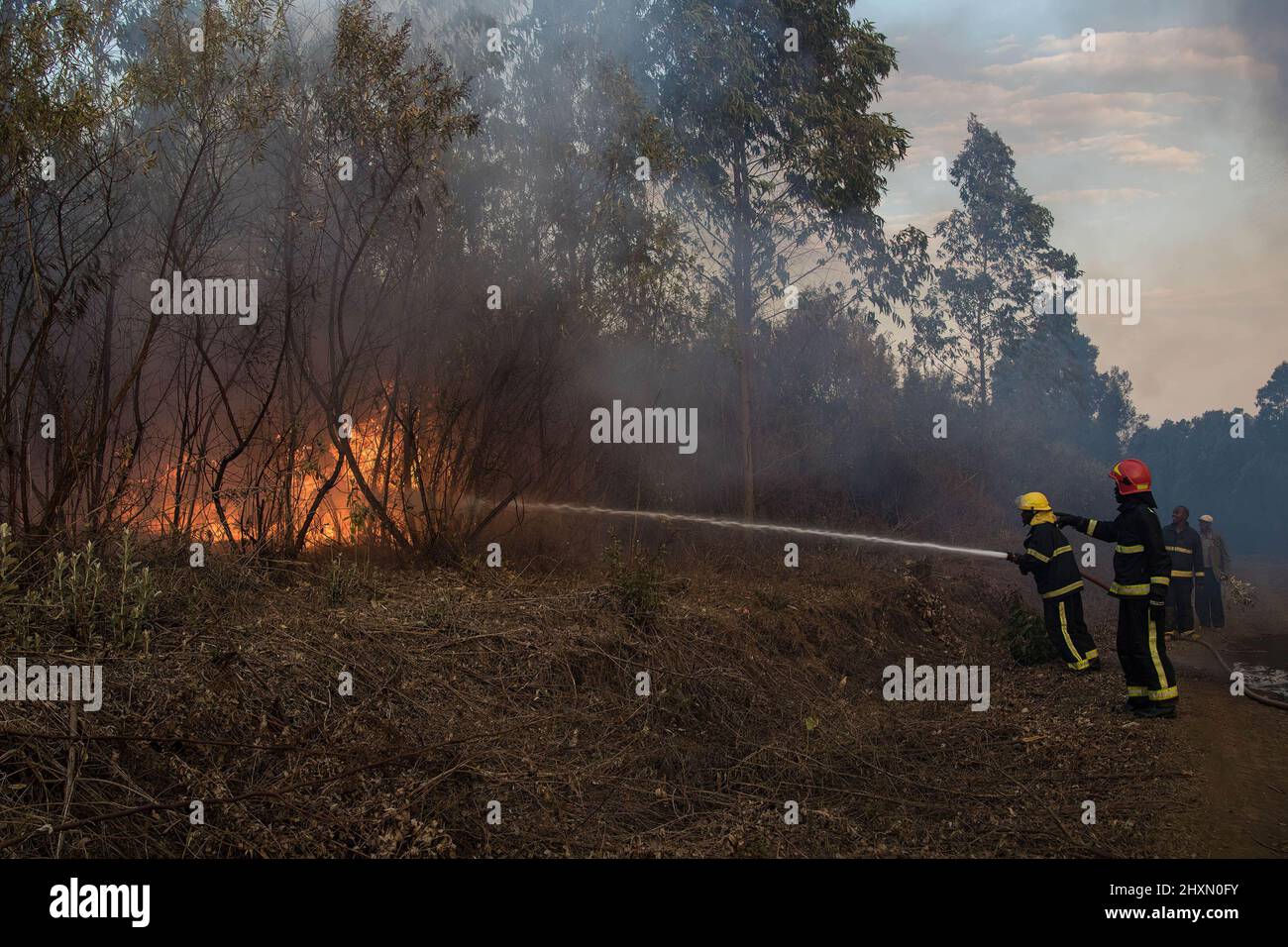 Nakuru, Rift Valley, Kenya. 13th Mar, 2022. Fire fighters try to ...
