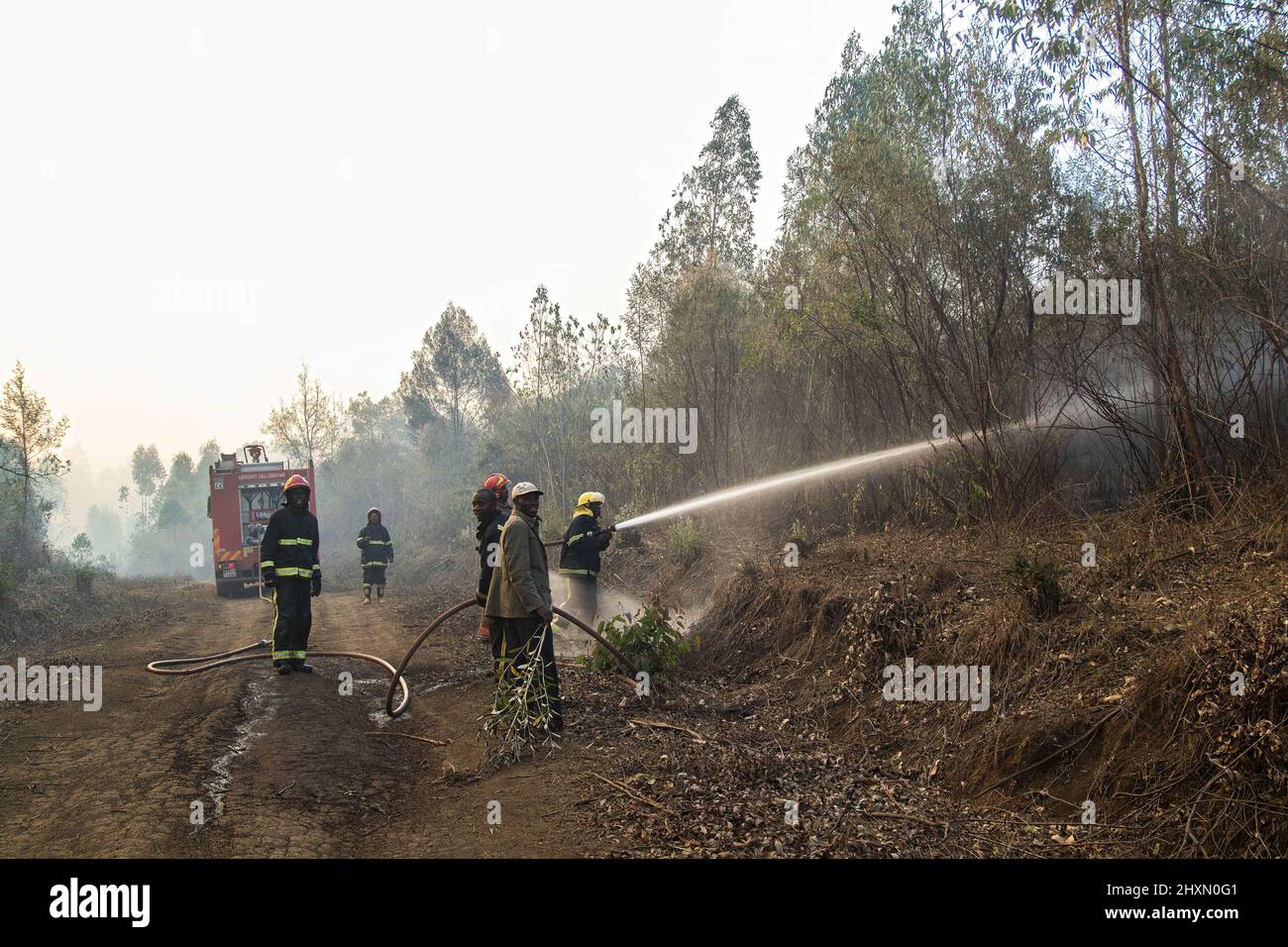 Nakuru, Rift Valley, Kenya. 13th Mar, 2022. Fire fighters try to ...