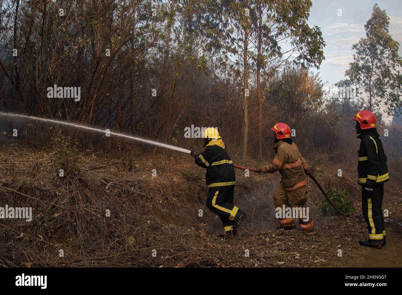 Nakuru, Rift Valley, Kenya. 13th Mar, 2022. Fire fighters try to ...