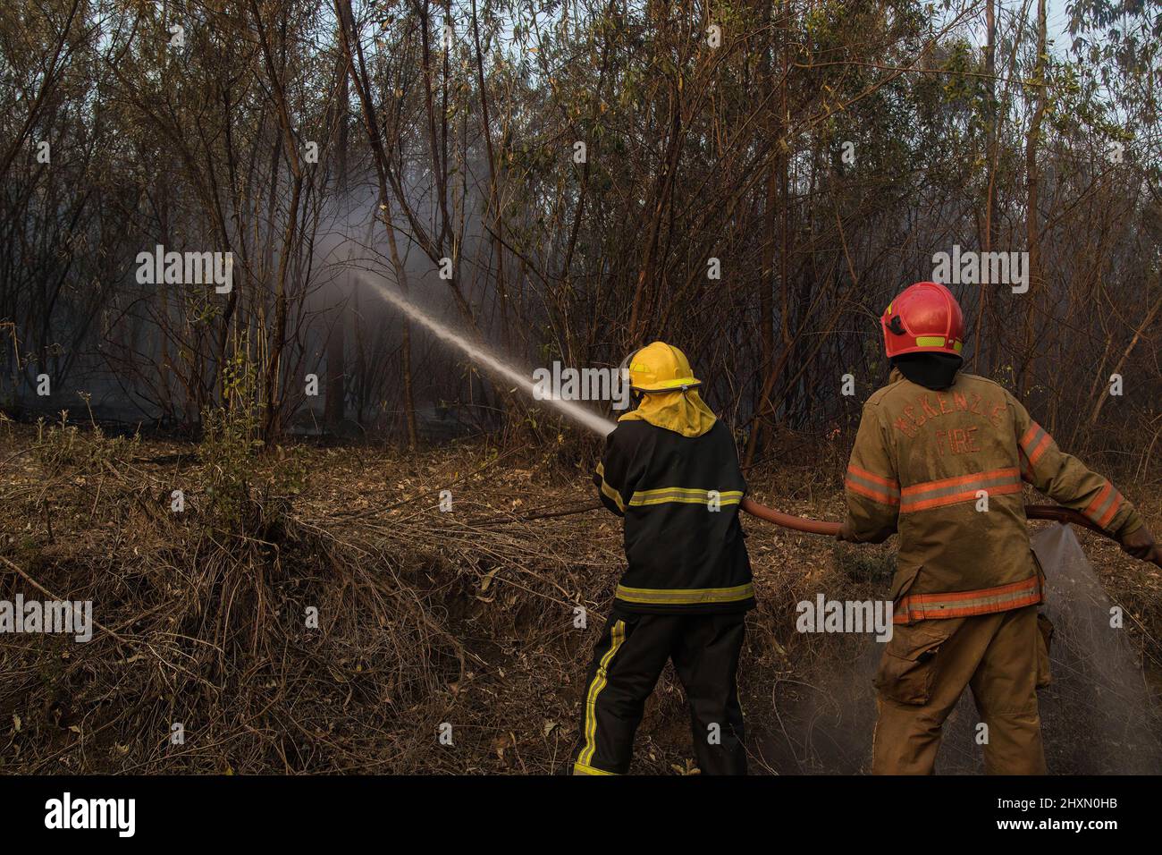 Nakuru, Rift Valley, Kenya. 13th Mar, 2022. Fire fighters try to ...