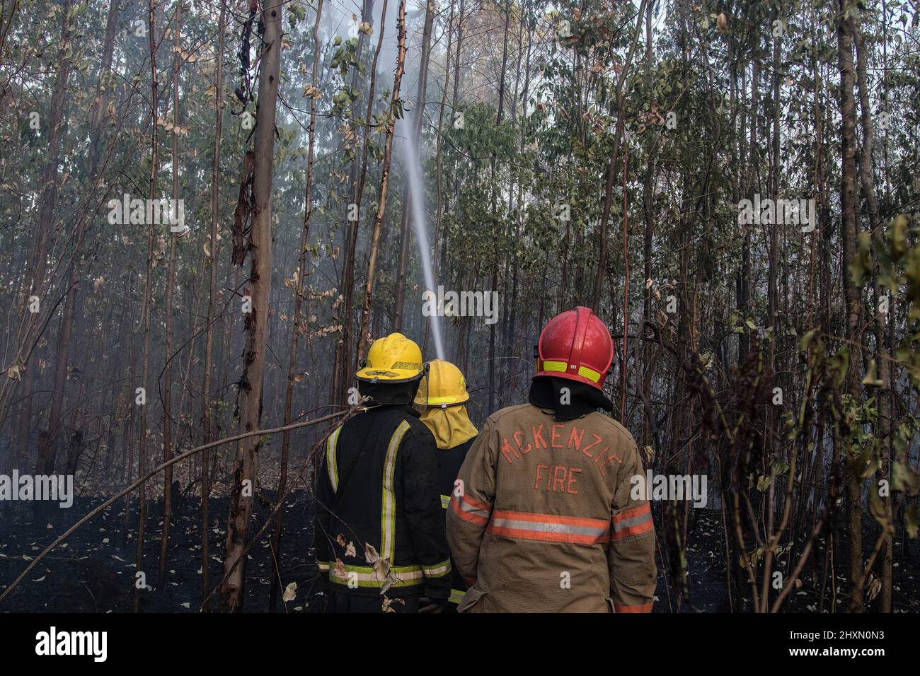 Nakuru, Kenya. 13th Mar, 2022. Fire fighters attempt to contain huge ...