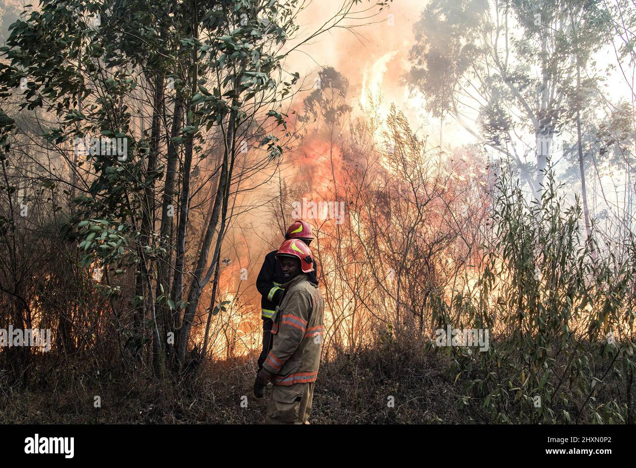 Nakuru, Kenya - 13 Mar 2022 , Fire fighters try to contain huge fires ...