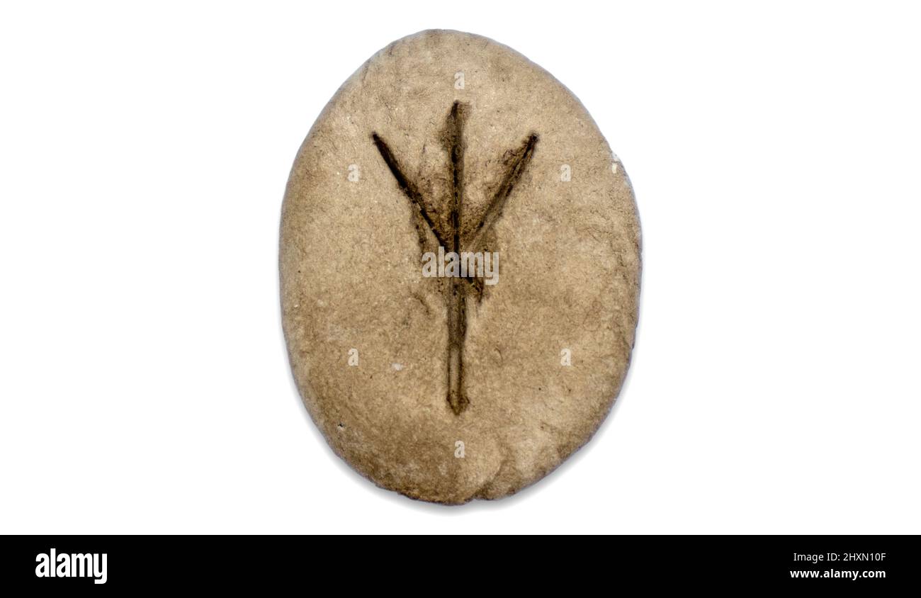 Algiz Nordic stone rune isolated on white background. Letter Eolh of ...