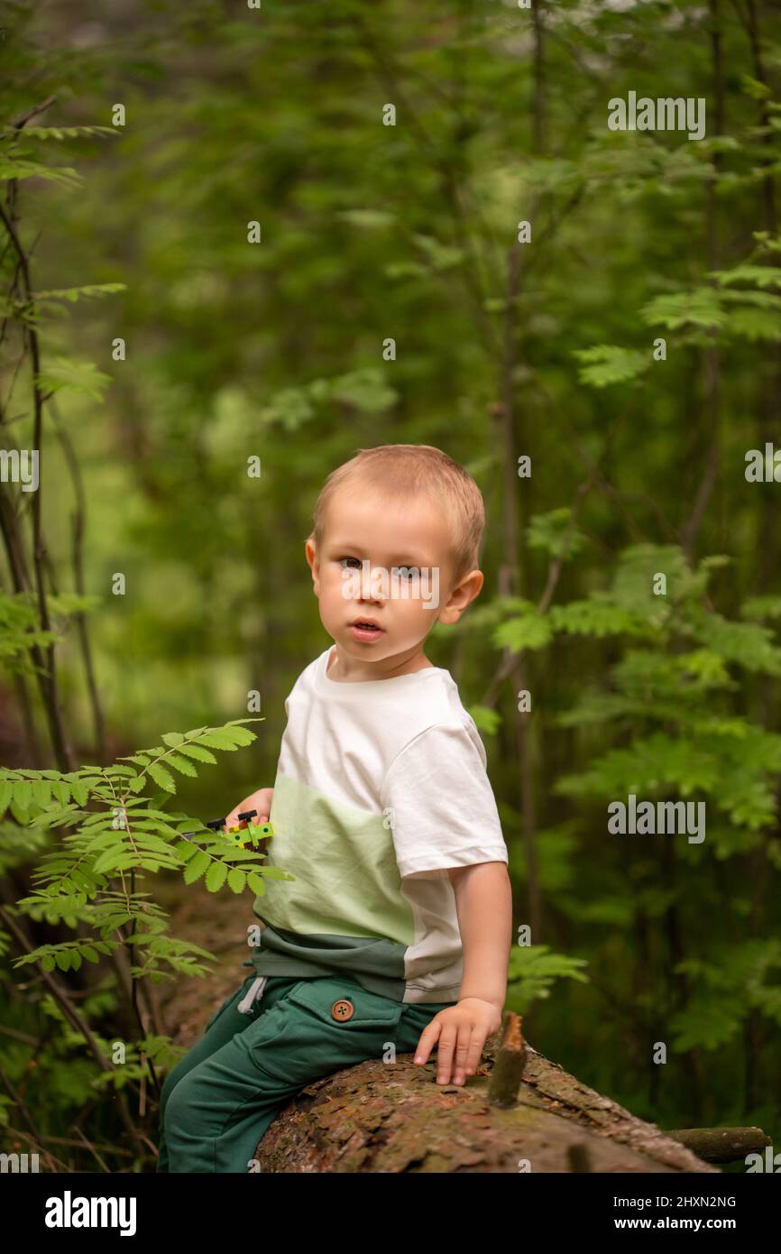 Adorable little Caucasian boy in the forest against the background of ...