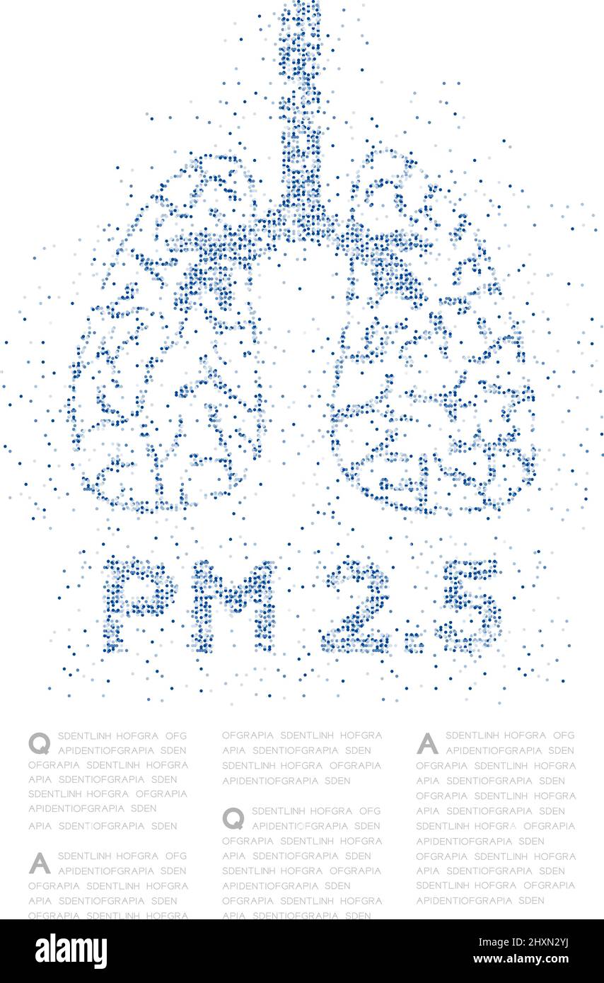 Lung with PM 2.5 text Abstract Cross pattern, Medical Science Organ ...