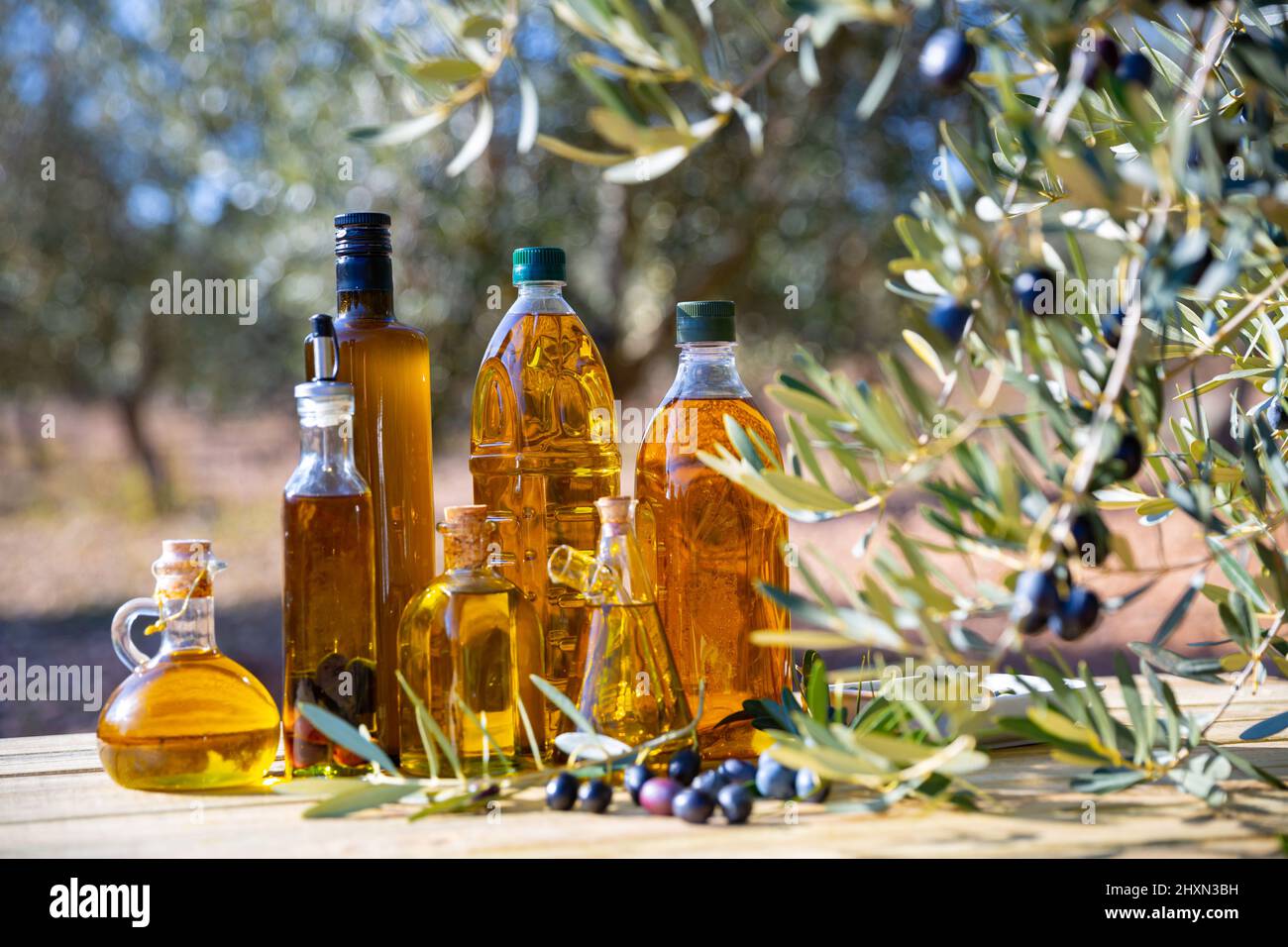 Bottles with olive oil and olive tree on a background of nature Stock ...