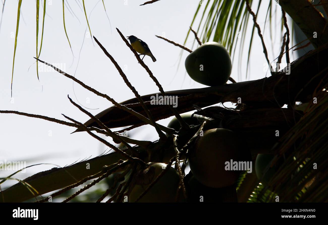 Tucacas, Falcon, Venezuela. 13th Mar, 2022. March 13, 2022, The ...