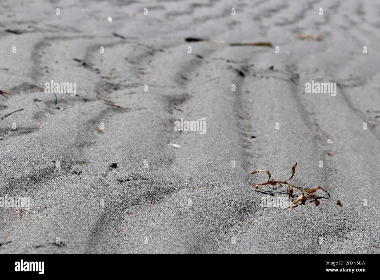 Close up ocean surface ripples hi-res stock photography and images - Alamy