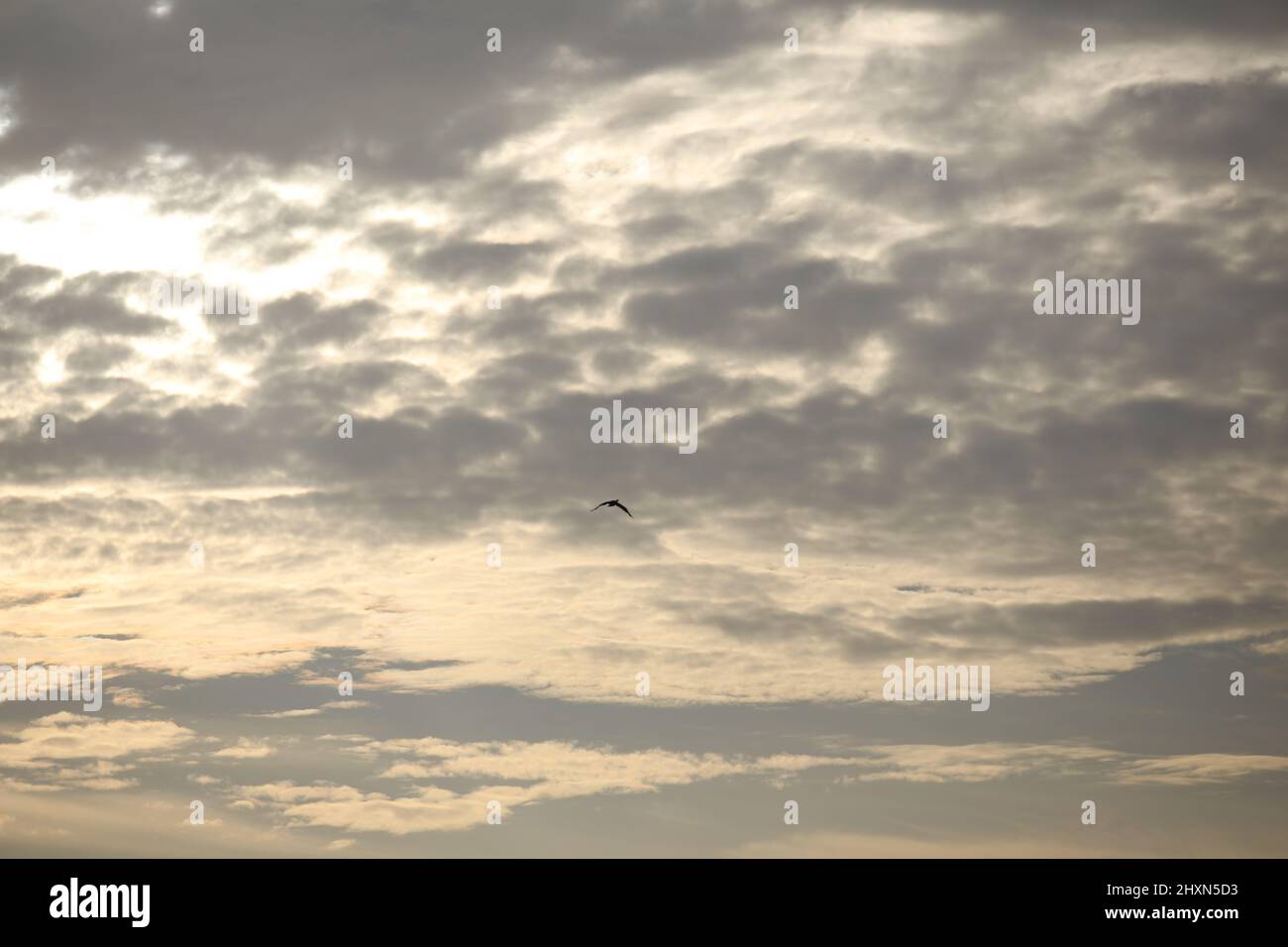 low waves on the shore of a beach High quality Stock Photo - Alamy