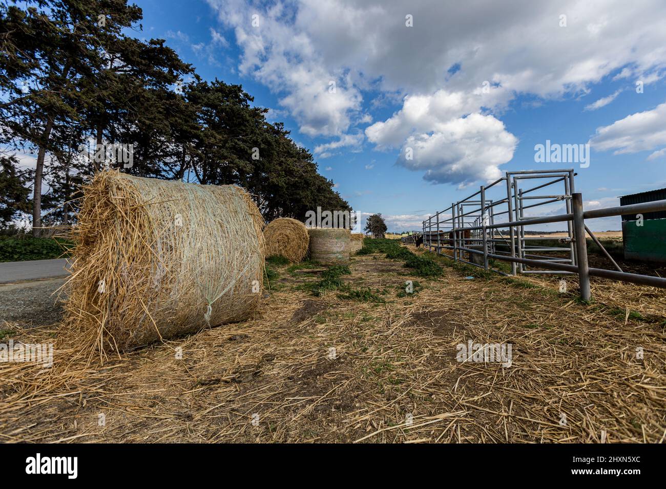 Russia ukraine exports hi-res stock photography and images - Alamy