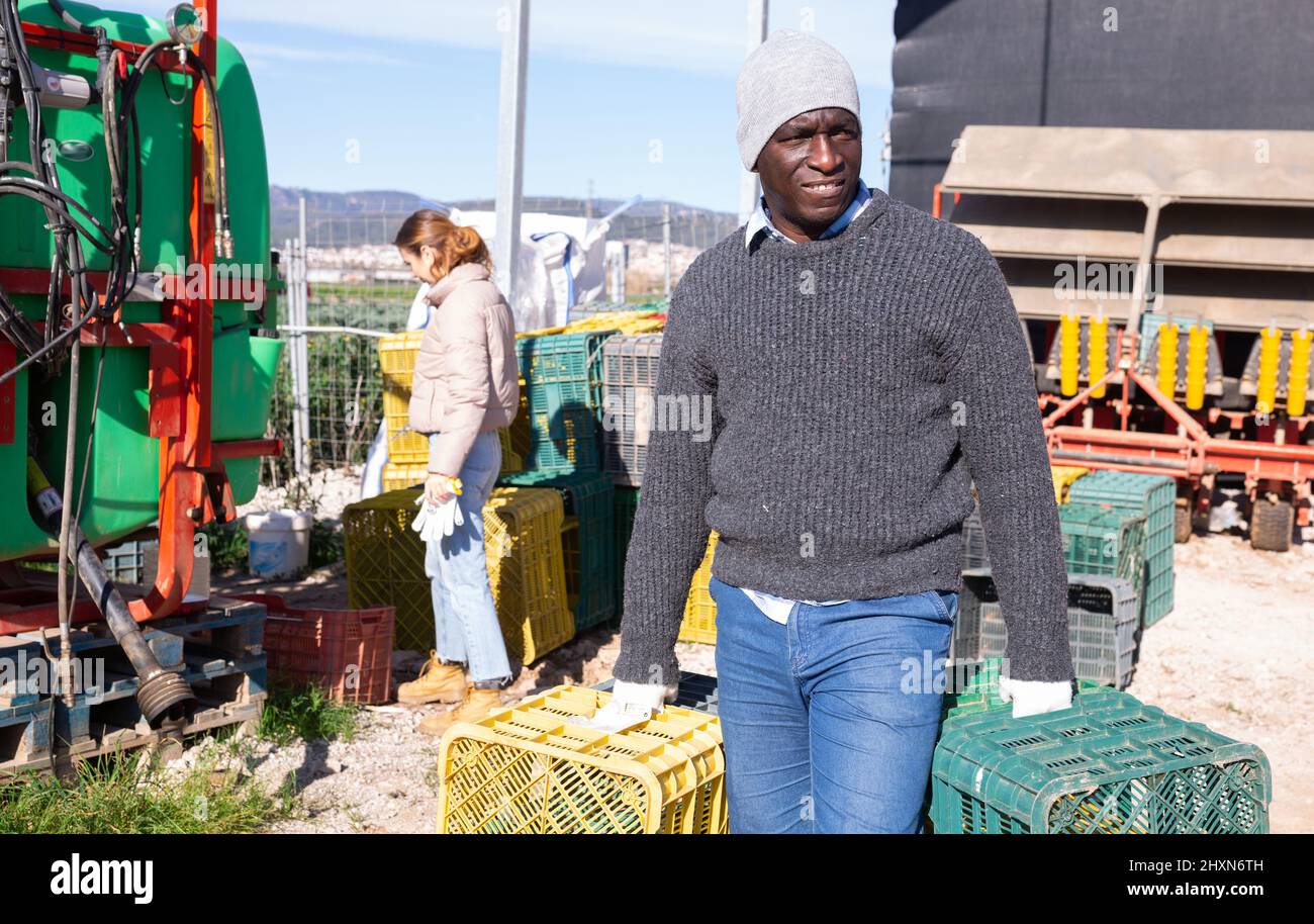 African-american man worker carrying crates Stock Photo - Alamy