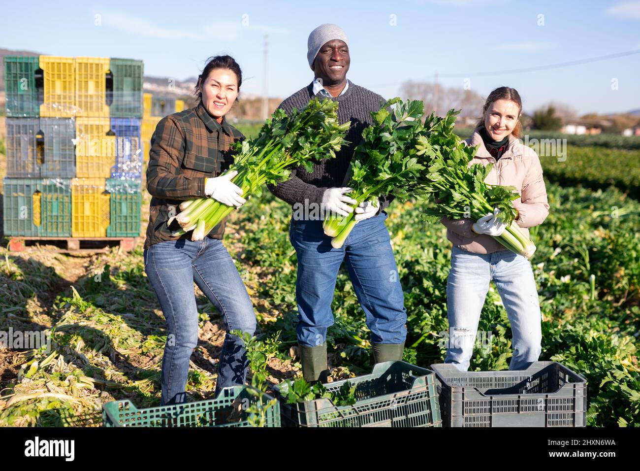 Group of african american farmers hi-res stock photography and images ...