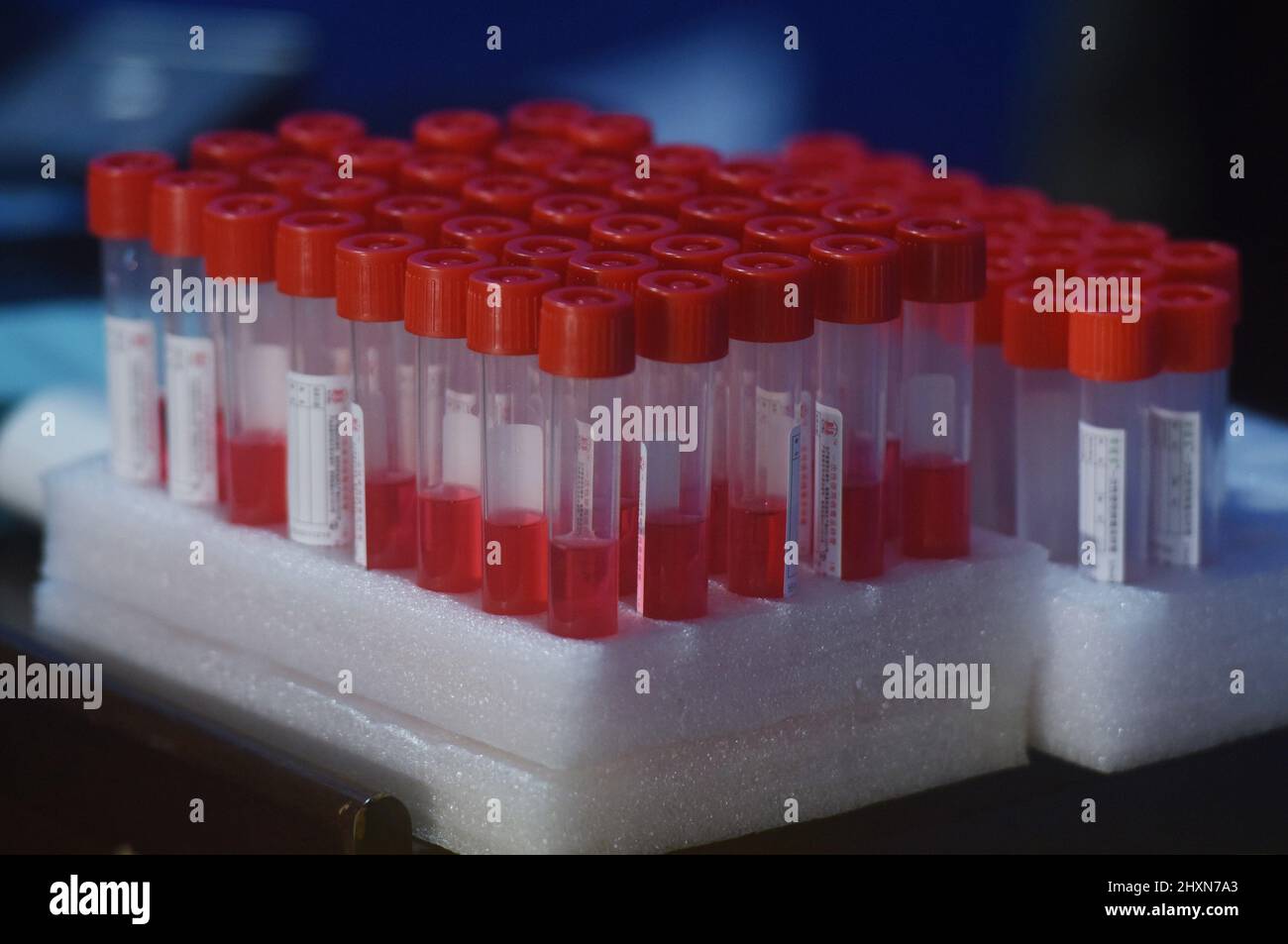 HANGZHOU, CHINA - MARCH 14, 2022 - Photo taken on March 14, 2022 shows ...