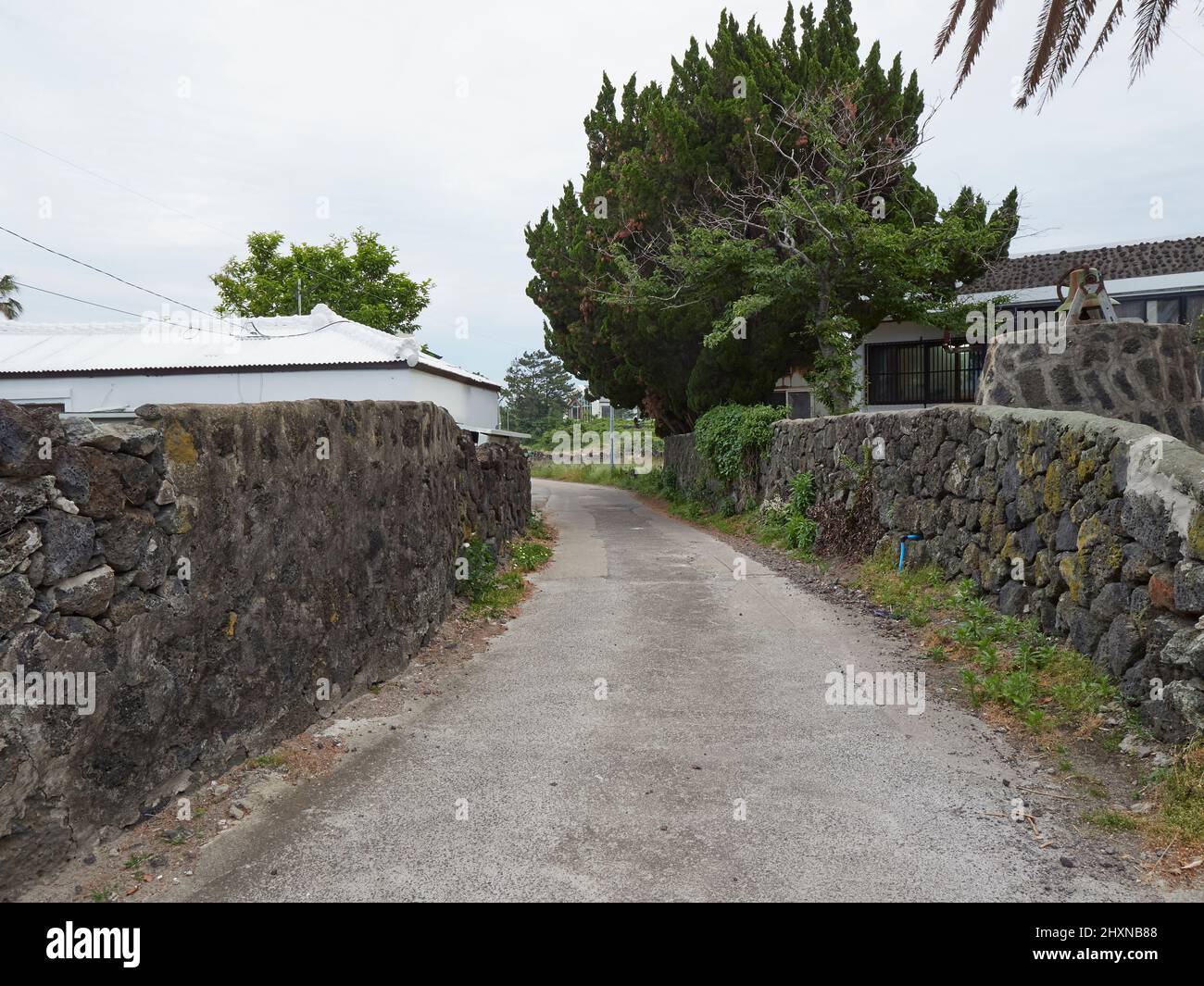 Stone wall path in Jeju, South Korea Stock Photo - Alamy