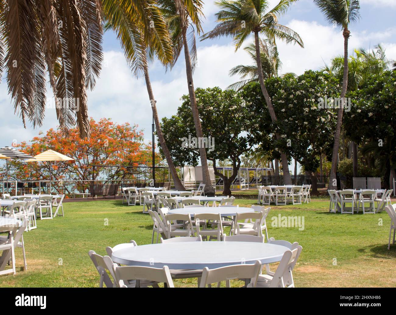 Exotic tropical palm fringed Roebuck Bay land scape of Broome North ...