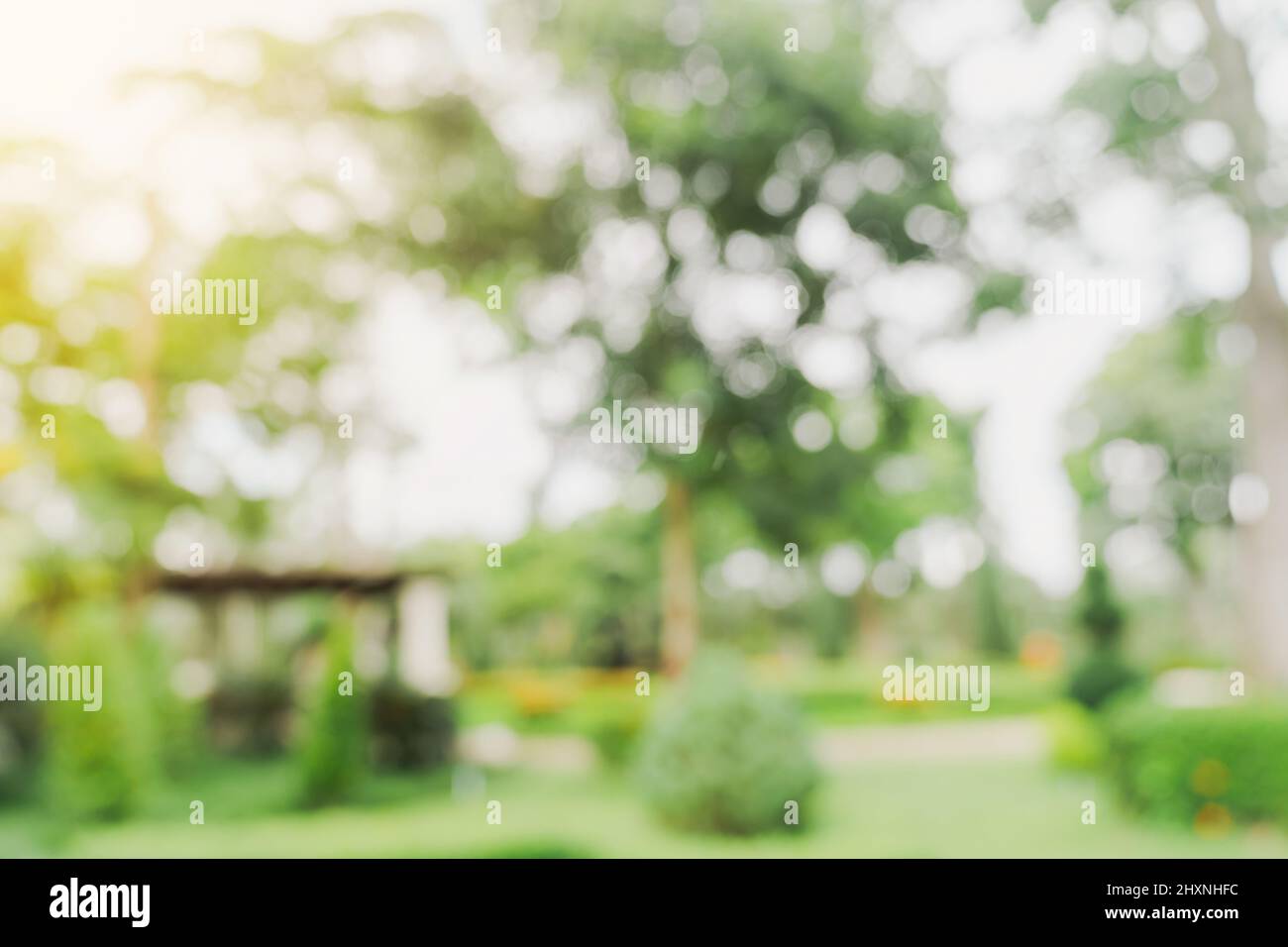 defocused bokeh and blur background of garden trees in sunlight with ...