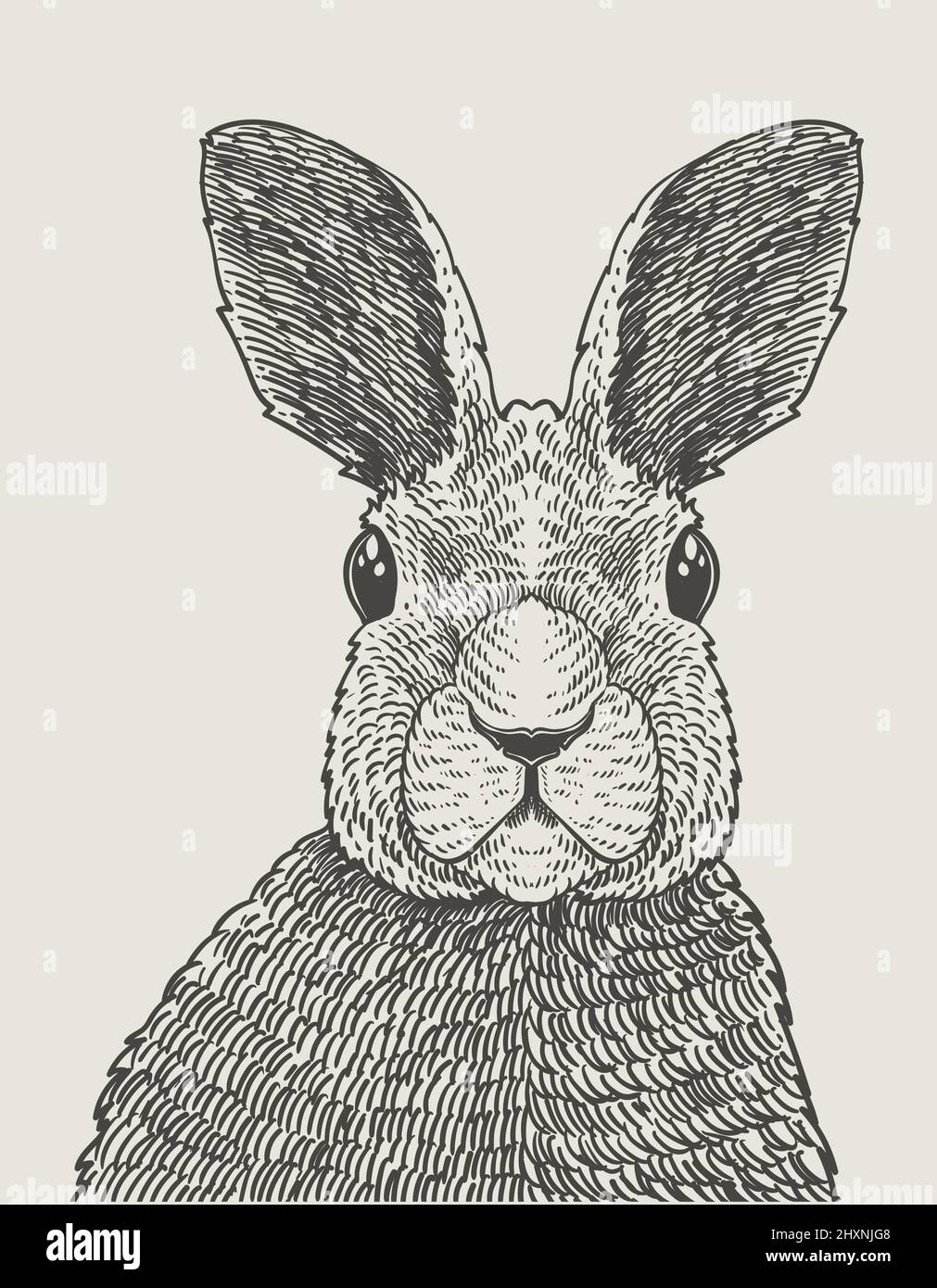 Engraved fur pattern Stock Vector Images - Alamy