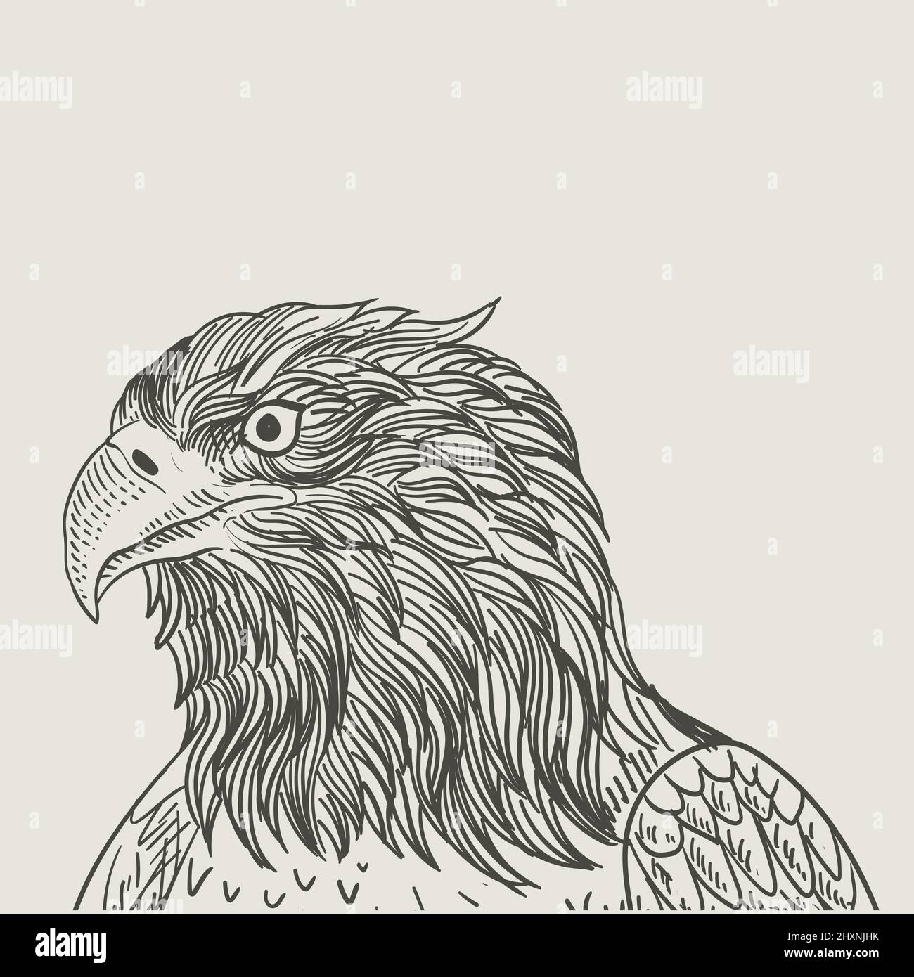 Vintage Eagle Drawing