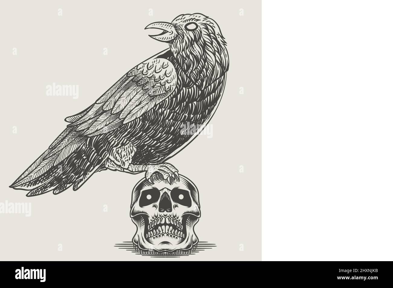 illustration vintage crow bird engraving style Stock Vector Image & Art ...