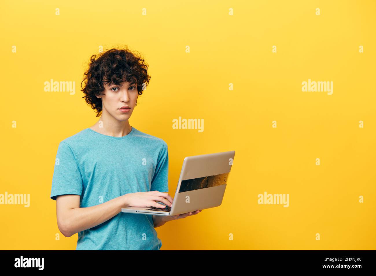 freelancer with laptop work online finance isolated backgrounds Stock ...