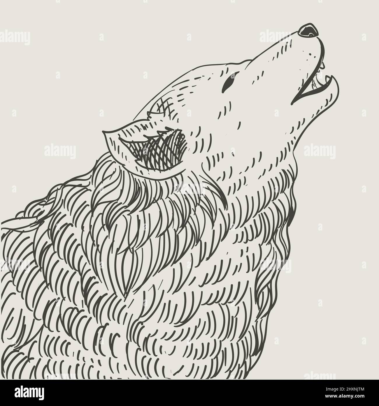 illustration vintage Wolf head engraving style Stock Vector Image & Art ...