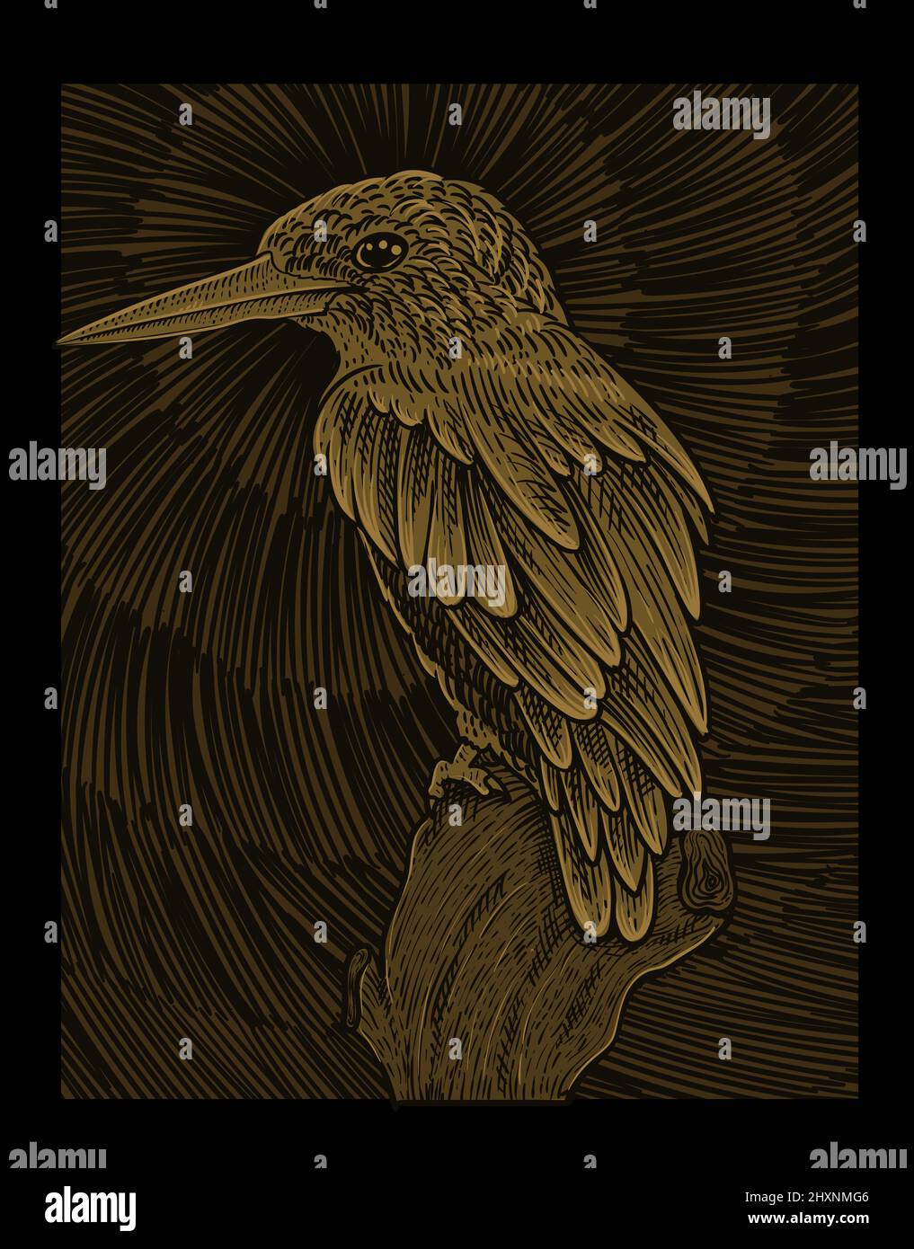 illustration vintage beautiful bird with engraving style Stock Vector ...