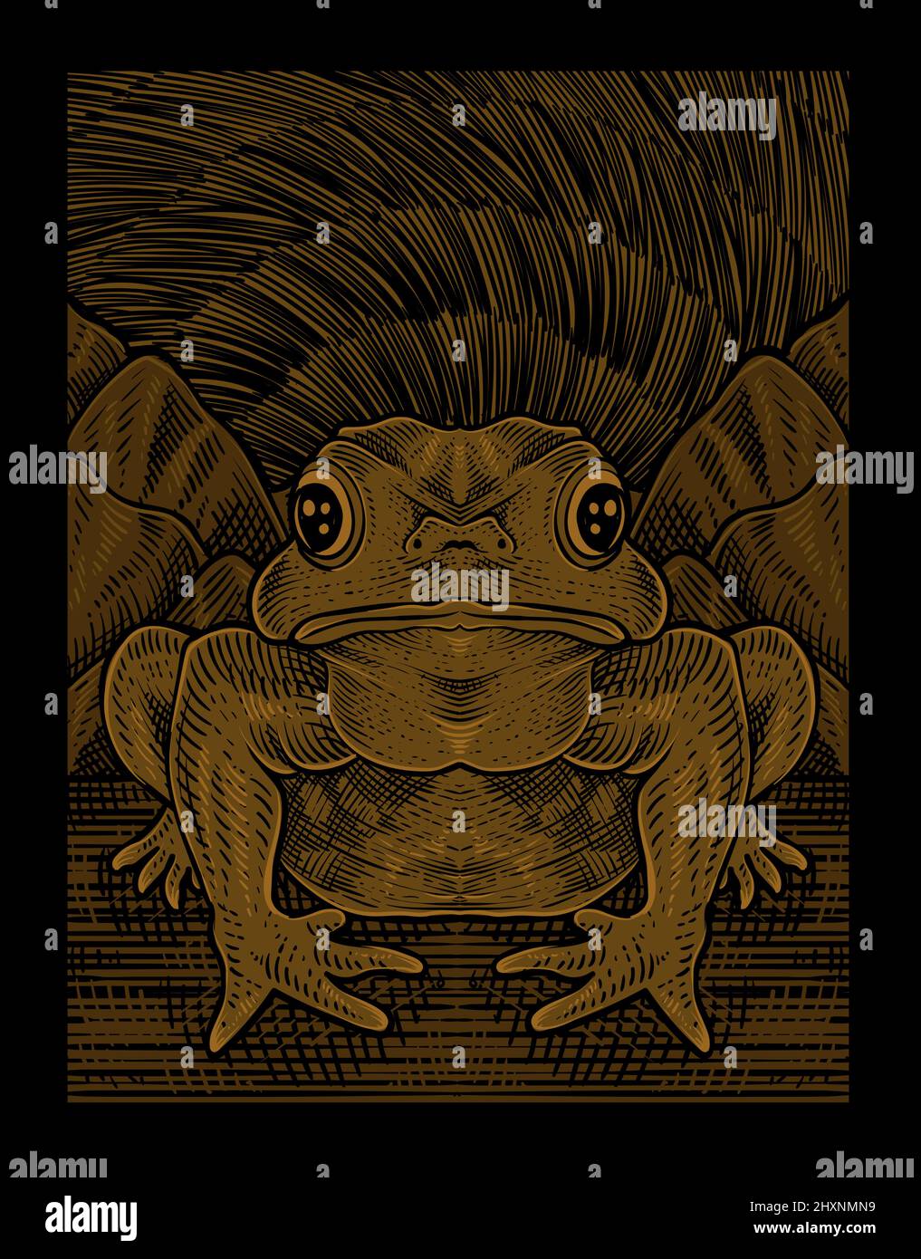 Vintage frog drawing hi-res stock photography and images - Alamy