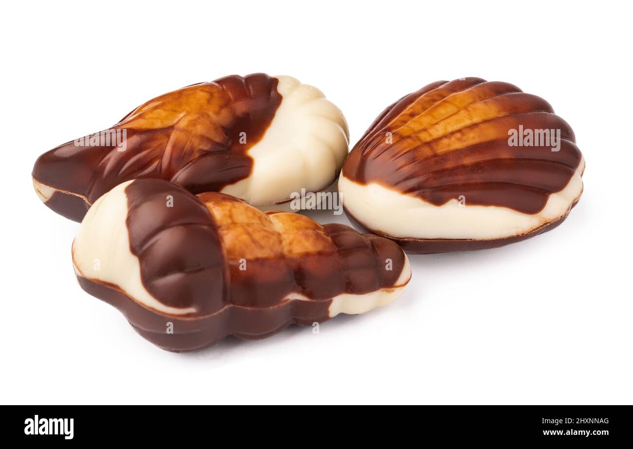 Chocolate sweets shaped as seashells isolated on white background Stock ...