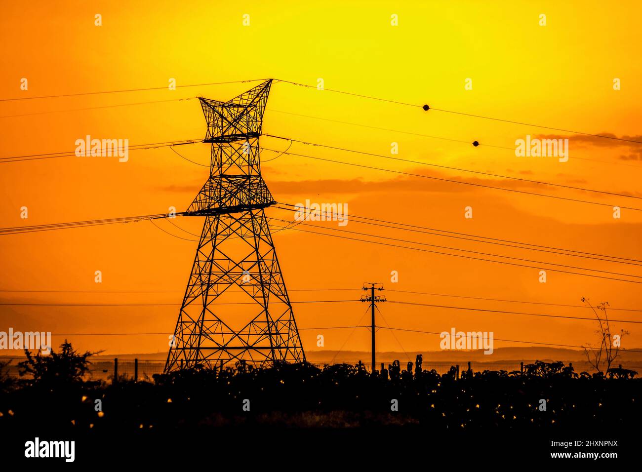 Electric pylon nairobi hi-res stock photography and images - Alamy