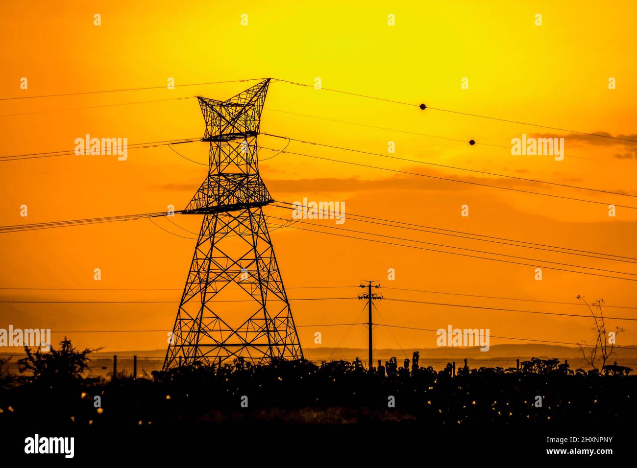 Electricity pylon row africa hi-res stock photography and images - Alamy