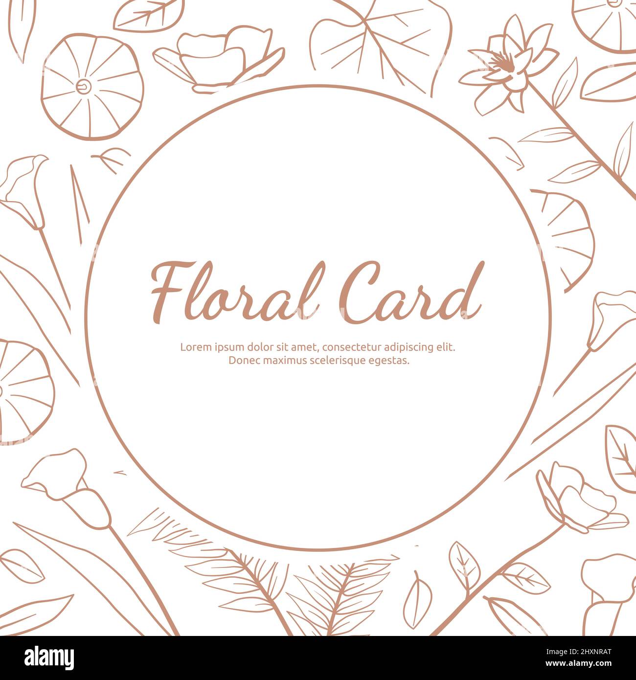 Simple circle and line hi-res stock photography and images - Alamy